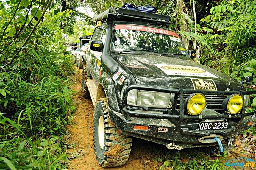 Feature: Borneo Safari – Choose Your Own Adventure Edition - Insights ...