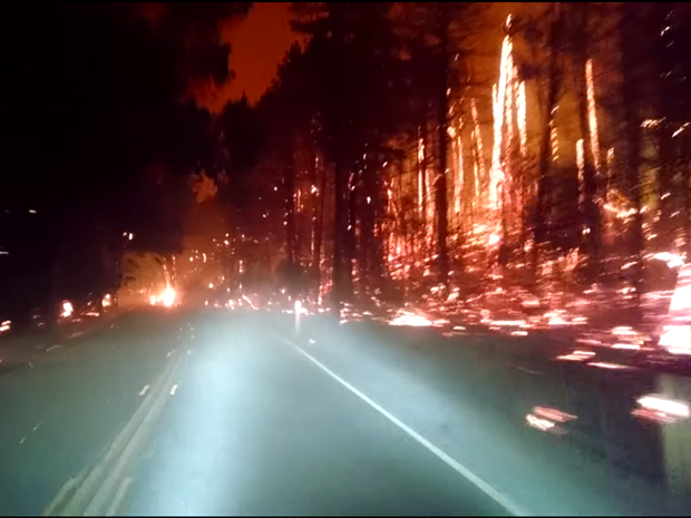 Watch This Family Drive Through Hell In A Firestorm, Tips On Driving ...