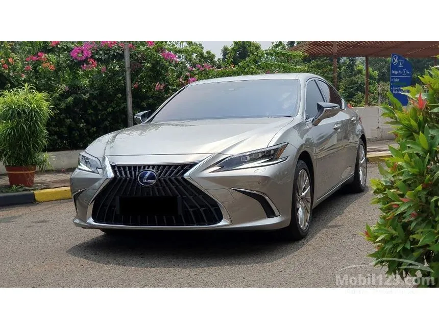Jual Mobil Lexus ES300h 2022 Ultra Luxury 2.5 di DKI Jakarta Automatic Sedan Silver Rp 995.000. ...